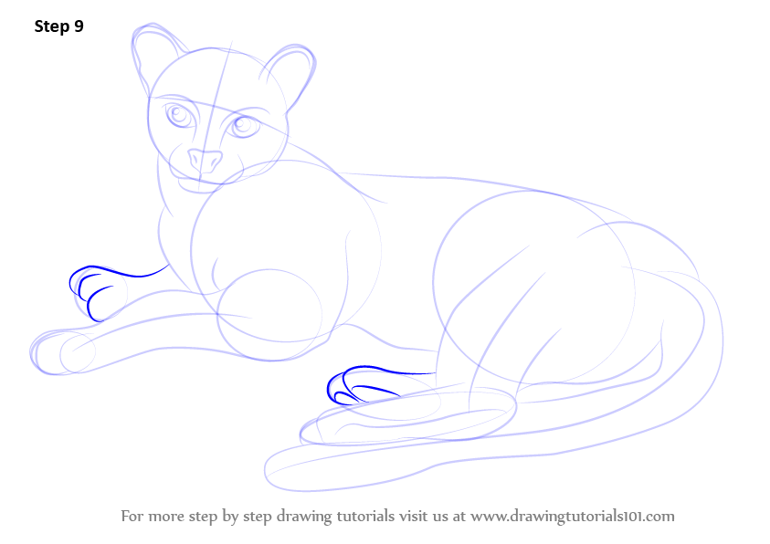 How to Draw a Margay (Cats) Step by Step | DrawingTutorials101.com