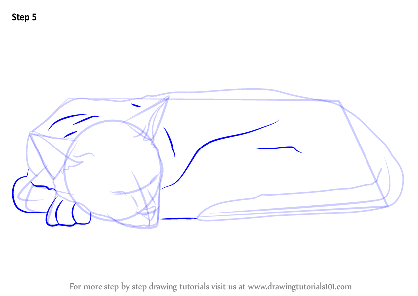 How to Draw a Sleeping Cat (Cats) Step by Step | DrawingTutorials101.com