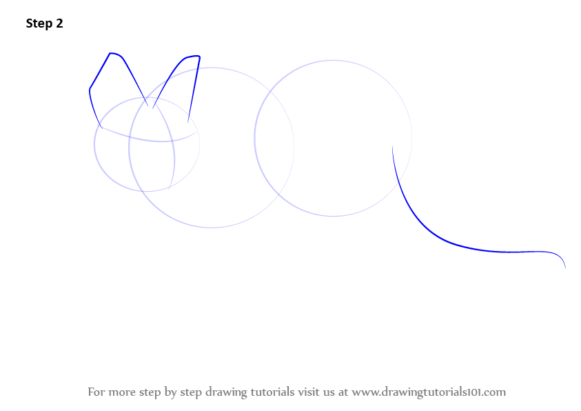 How to Draw a Wildcat (Cats) Step by Step | DrawingTutorials101.com