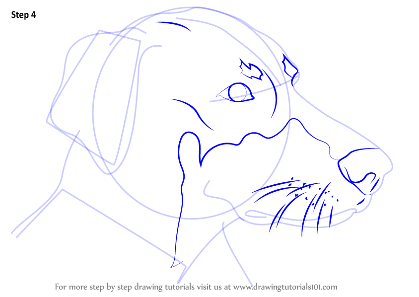 How To Draw A Doberman How To Draw A Dog (Great For Kids)