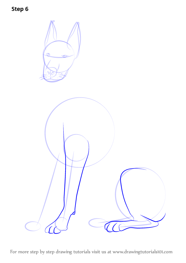 How to Draw a Doberman (Dogs) Step by Step | DrawingTutorials101.com
