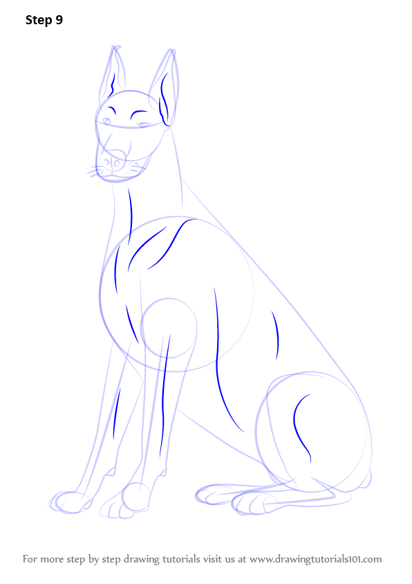 How to Draw a Doberman (Dogs) Step by Step | DrawingTutorials101.com