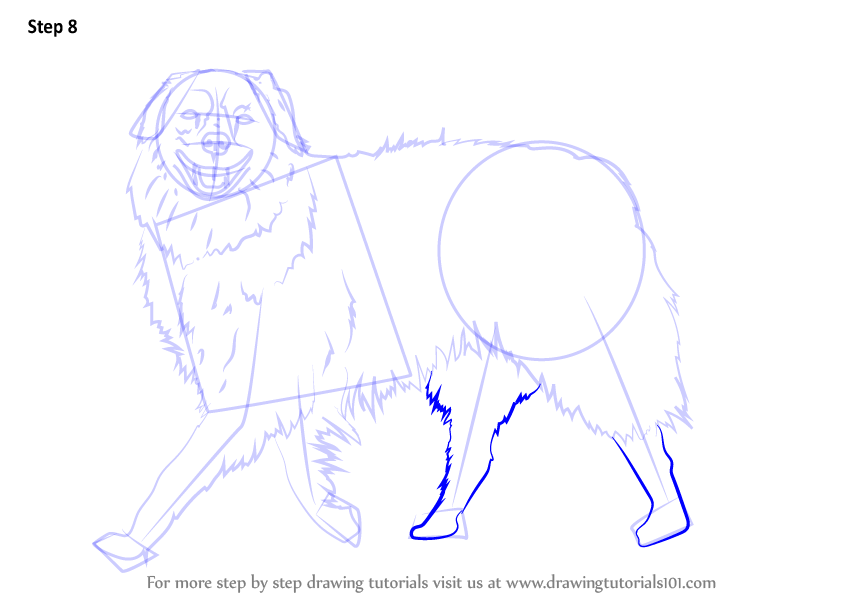 How to Draw a Dog Walking (Dogs) Step by Step | DrawingTutorials101.com