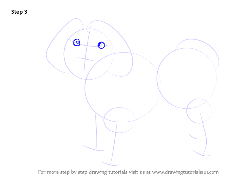 How to Draw a Maltese Dog (Dogs) Step by Step | DrawingTutorials101.com