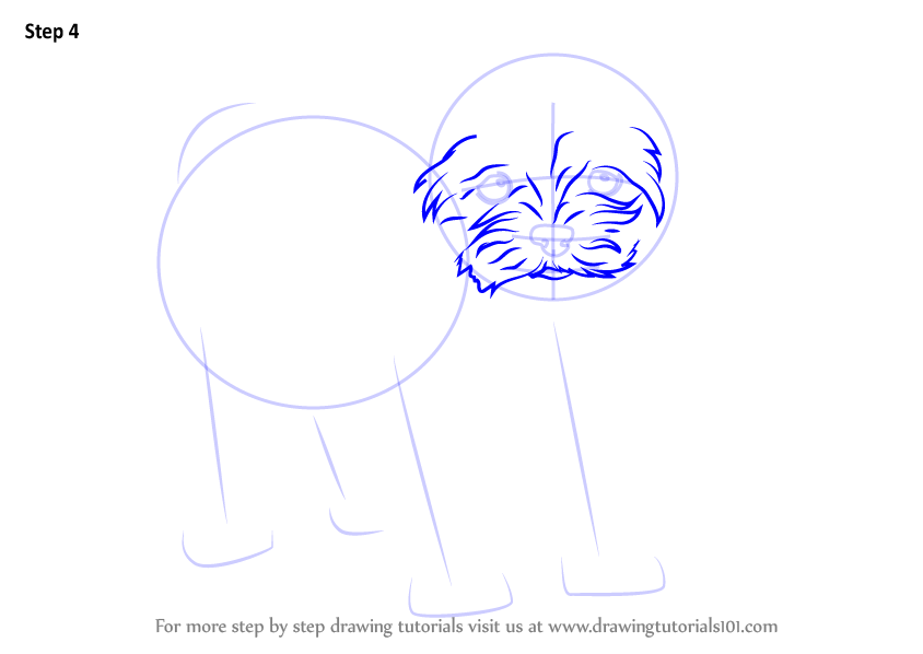 How to Draw a Maltese (Dogs) Step by Step | DrawingTutorials101.com