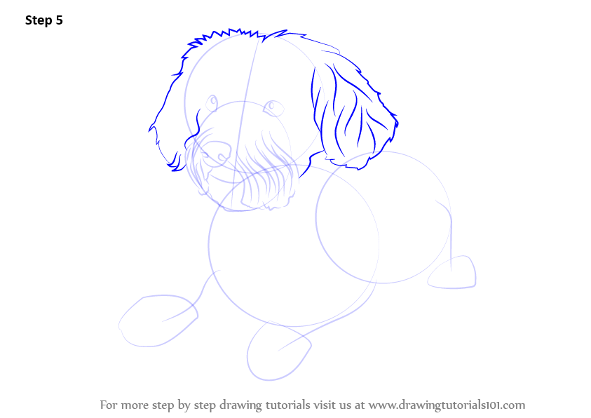 How to Draw a Schnoodle (Dogs) Step by Step | DrawingTutorials101.com