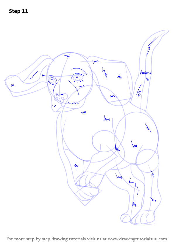 How to Draw a Beagle (Farm Animals) Step by Step | DrawingTutorials101.com