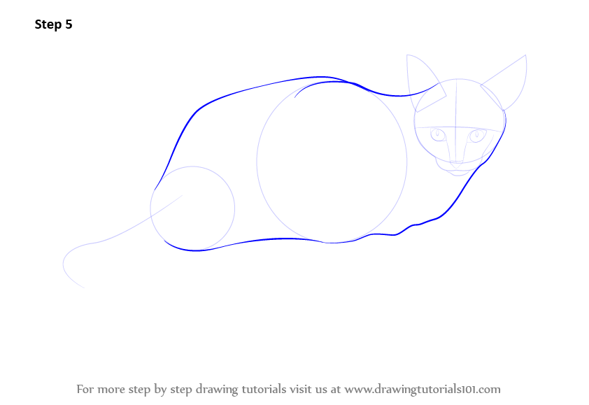 How to Draw a Cat (Farm Animals) Step by Step | DrawingTutorials101.com