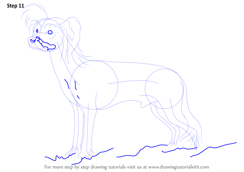 How to Draw a Chinese Crested Dog (Farm Animals) Step by Step ...