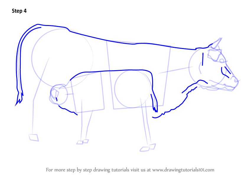 How to Draw Cow And Young Calf (Farm Animals) Step by Step | DrawingTutorials101.com
