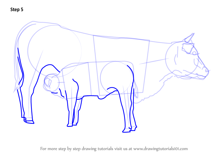 How to Draw Cow And Young Calf (Farm Animals) Step by Step | DrawingTutorials101.com