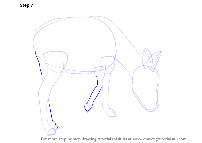 How to Draw a Donkey (Farm Animals) Step by Step | DrawingTutorials101.com