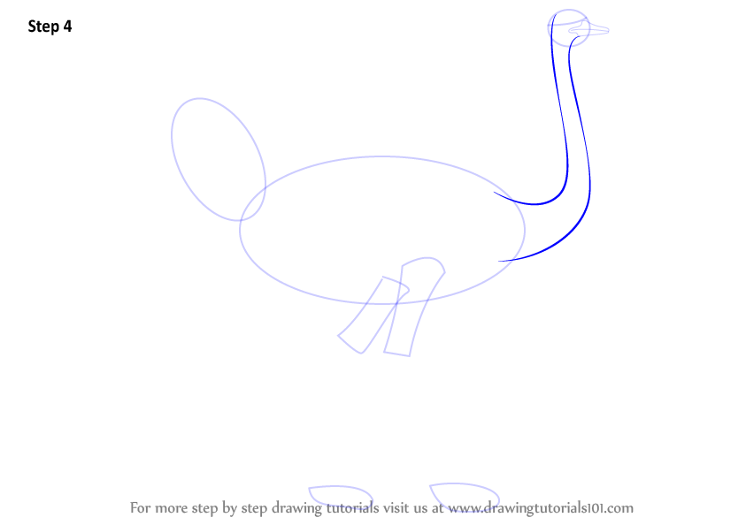 How to Draw a Ostrich (Farm Animals) Step by Step | DrawingTutorials101.com