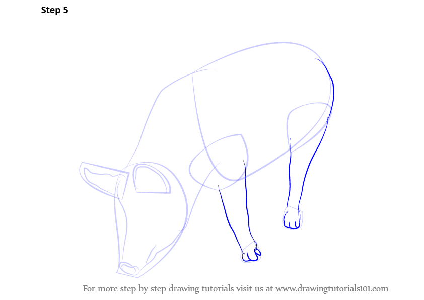 How to Draw a Pig (Farm Animals) Step by Step | DrawingTutorials101.com