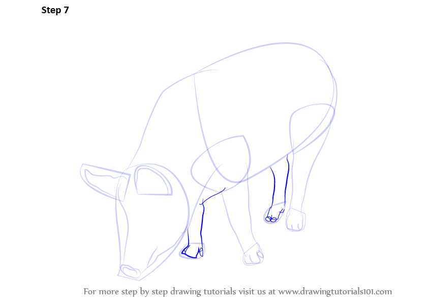 How to Draw a Pig (Farm Animals) Step by Step | DrawingTutorials101.com