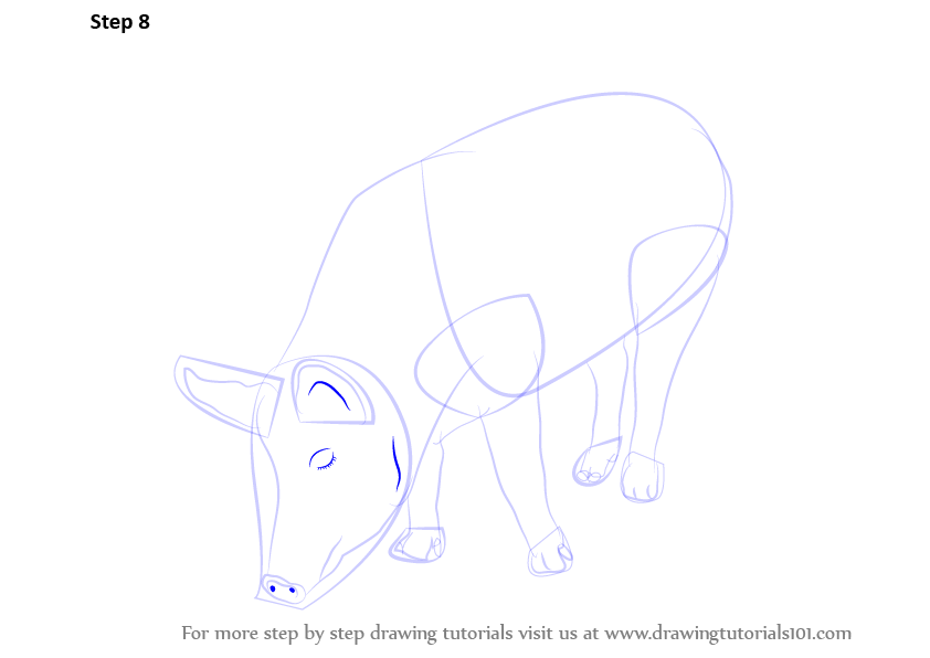 How to Draw a Pig (Farm Animals) Step by Step | DrawingTutorials101.com