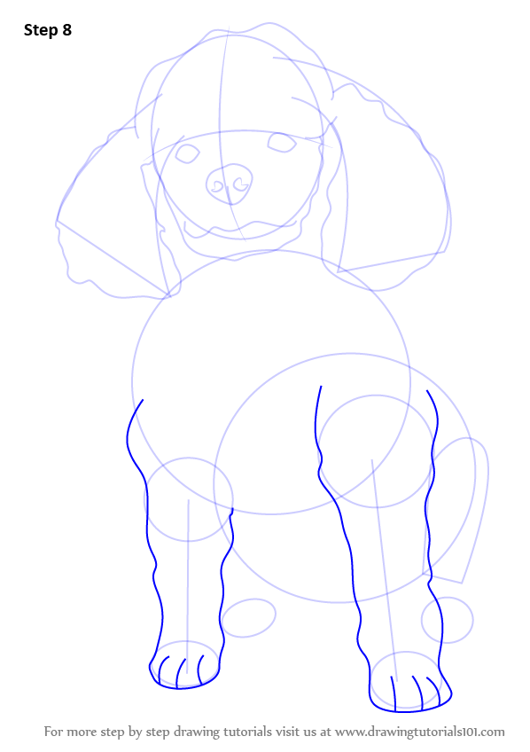 How to Draw a Poodle Dog (Farm Animals) Step by Step ...