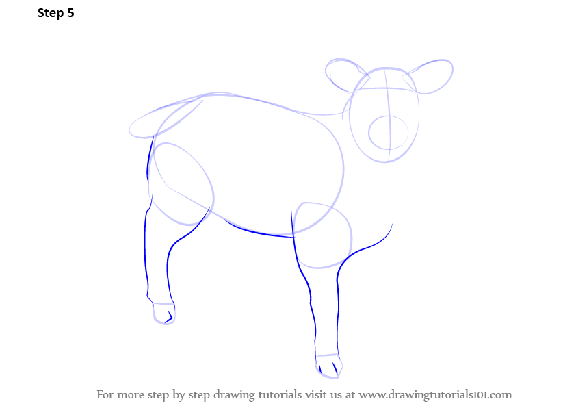 Sheep Farm Animals Easy Drawing How To Draw A Sheep Farm Animals