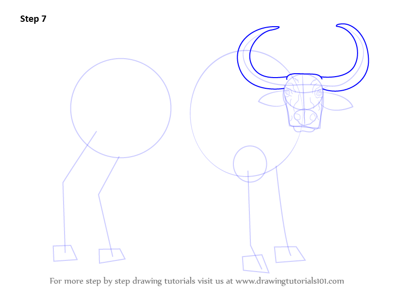 Asian Water Buffalo Drawing