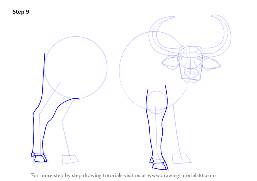 How to Draw a Water Buffalo (Farm Animals) Step by Step ...