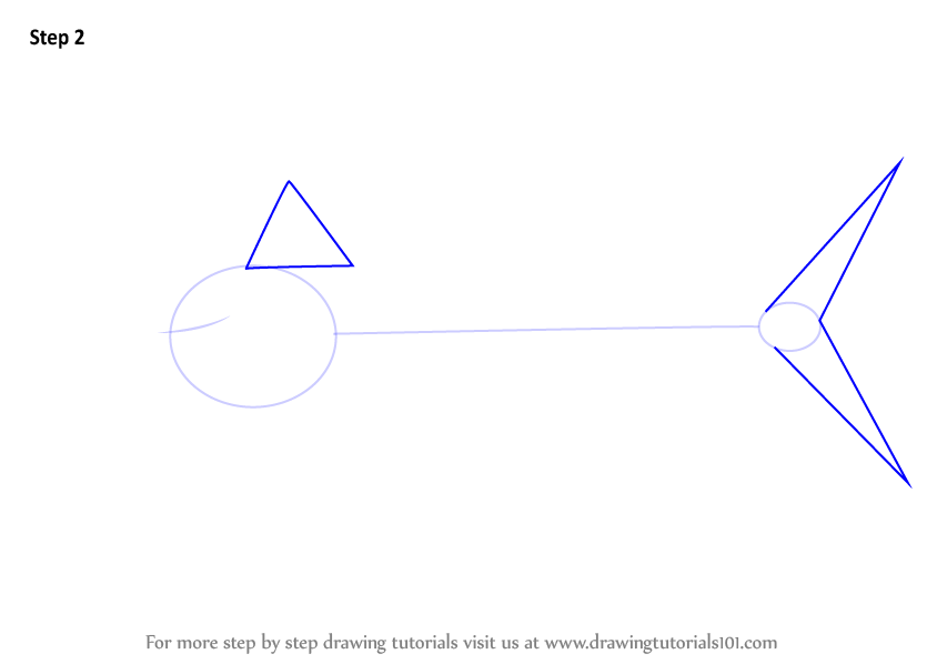 How to Draw a Black Marlin (Fishes) Step by Step | DrawingTutorials101.com