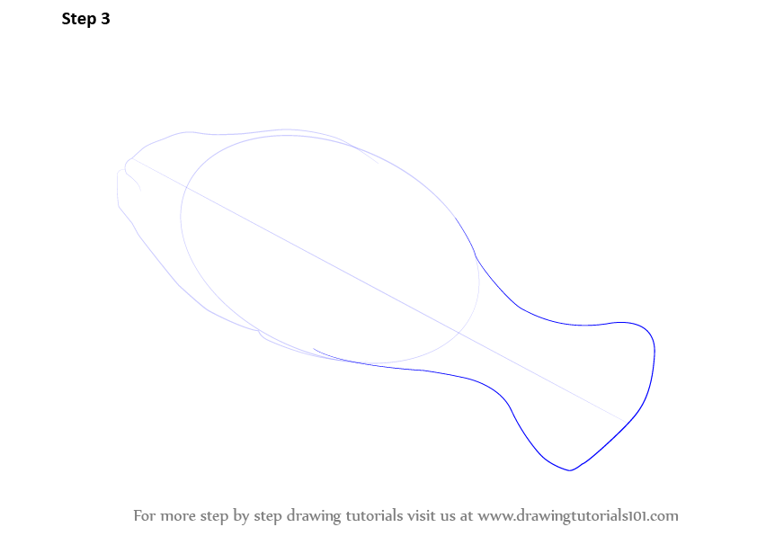 How to Draw a Clownfish (Fishes) Step by Step | DrawingTutorials101.com