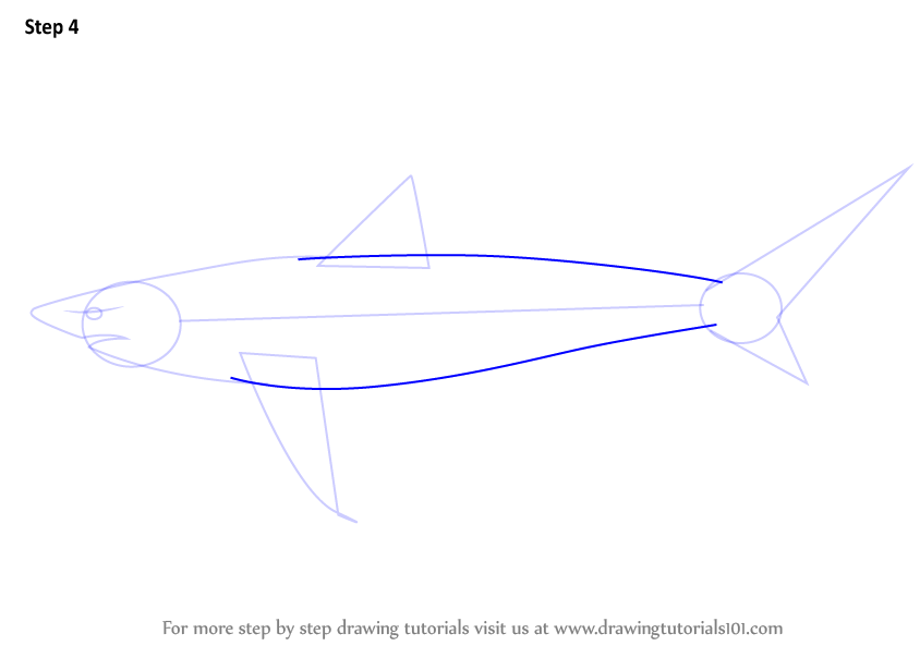 How to Draw a Copper Shark (Fishes) Step by Step | DrawingTutorials101.com