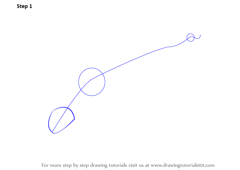 How to Draw an Eel (Fishes) Step by Step | DrawingTutorials101.com