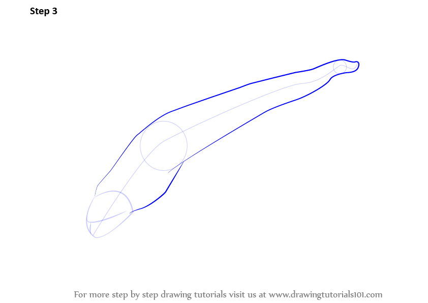 How to Draw an Eel (Fishes) Step by Step | DrawingTutorials101.com