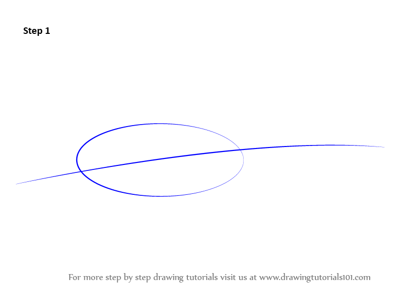 How to Draw a Greenland Shark (Fishes) Step by Step ...