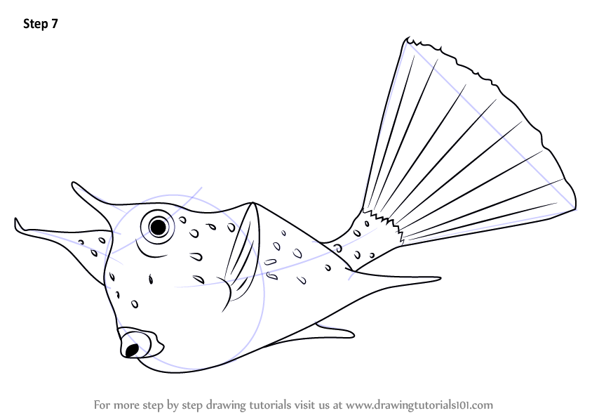 How to Draw a Longhorn Cowfish (Fishes) Step by Step ...