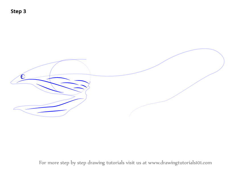 How to Draw a Pelican eel (Fishes) Step by Step | DrawingTutorials101.com
