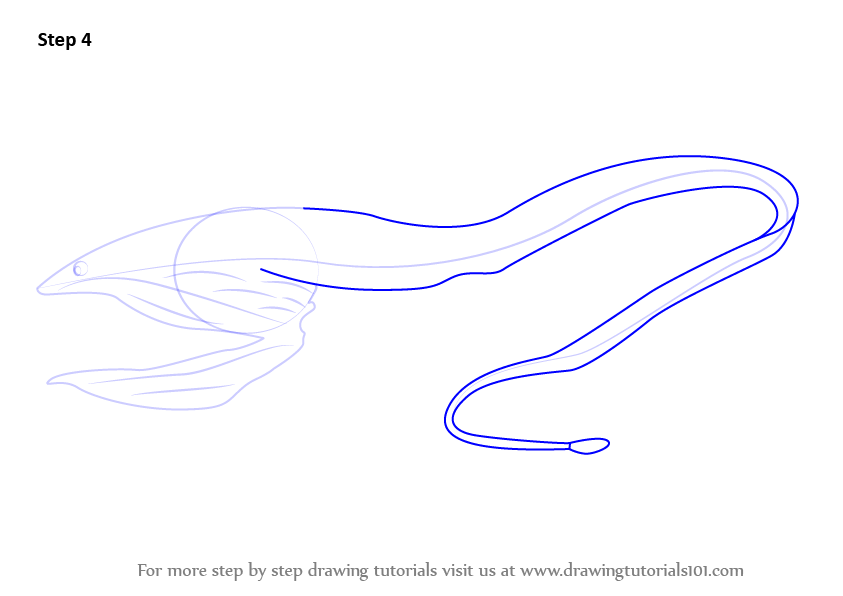 How to Draw a Pelican eel (Fishes) Step by Step | DrawingTutorials101.com