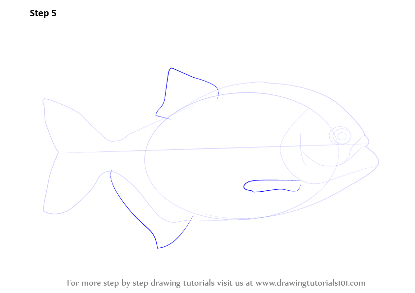 How to Draw a Piranha (Fishes) Step by Step | DrawingTutorials101.com