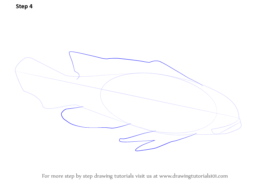 How to Draw a Royal Gramma (Fishes) Step by Step | DrawingTutorials101.com