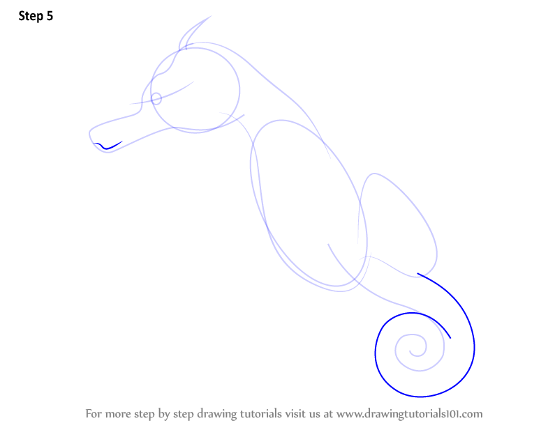 How to Draw a Sea Horse (Fishes) Step by Step | DrawingTutorials101.com