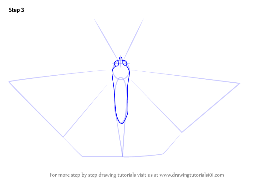 How To Draw A Owl Butterfly