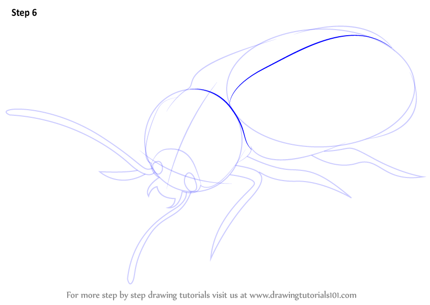 How to Draw a Beetle (Insects) Step by Step | DrawingTutorials101.com