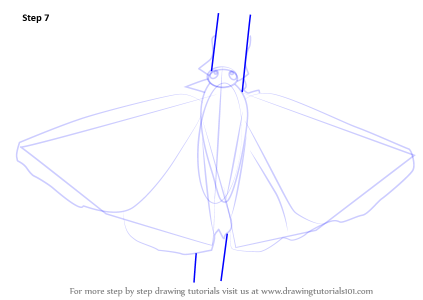 How to Draw a Cinnabar Moth (Insects) Step by Step ...