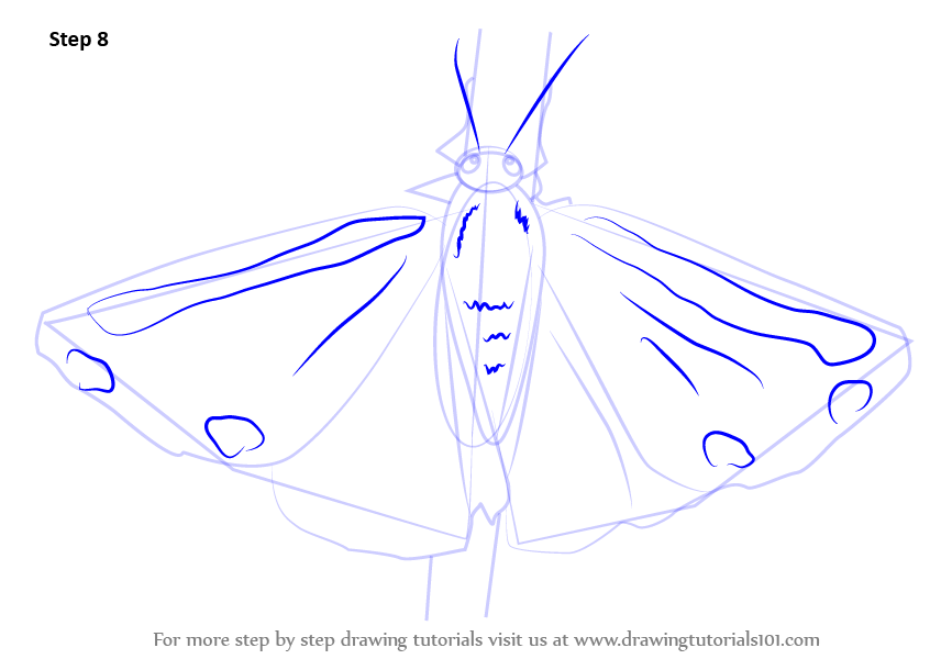 How to Draw a Cinnabar Moth (Insects) Step by Step ...
