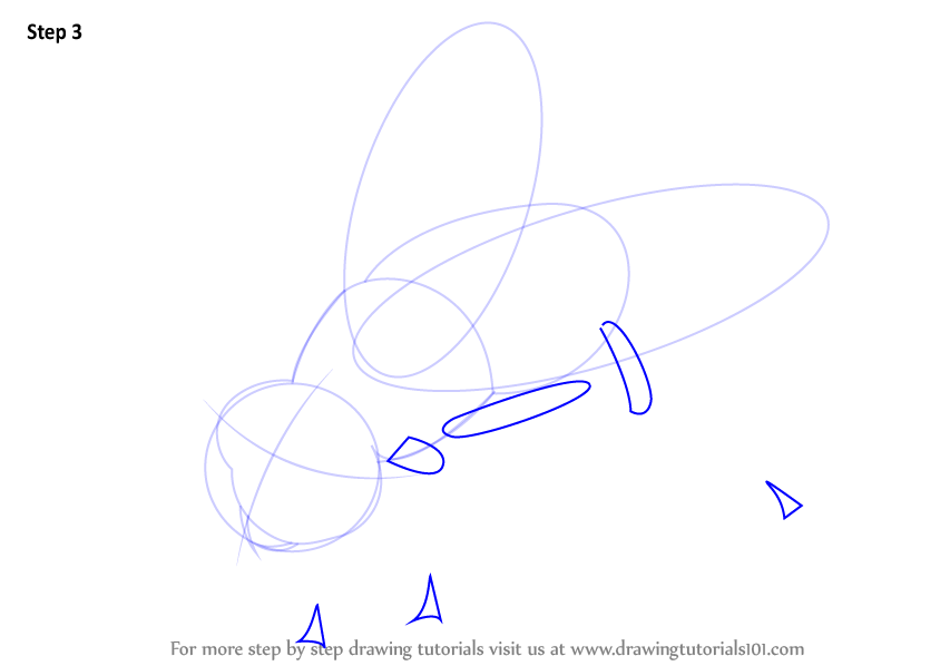 How to Draw a Fly (Insects) Step by Step | DrawingTutorials101.com