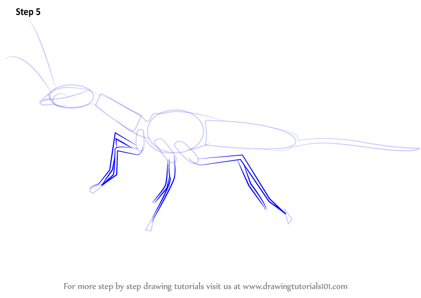 How to Draw a Snakefly (Insects) Step by Step | DrawingTutorials101.com