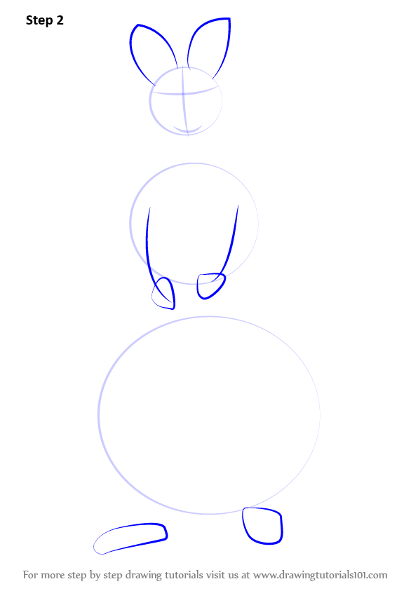 How to Draw a Wallaby (Kangaroos) Step by Step | DrawingTutorials101.com