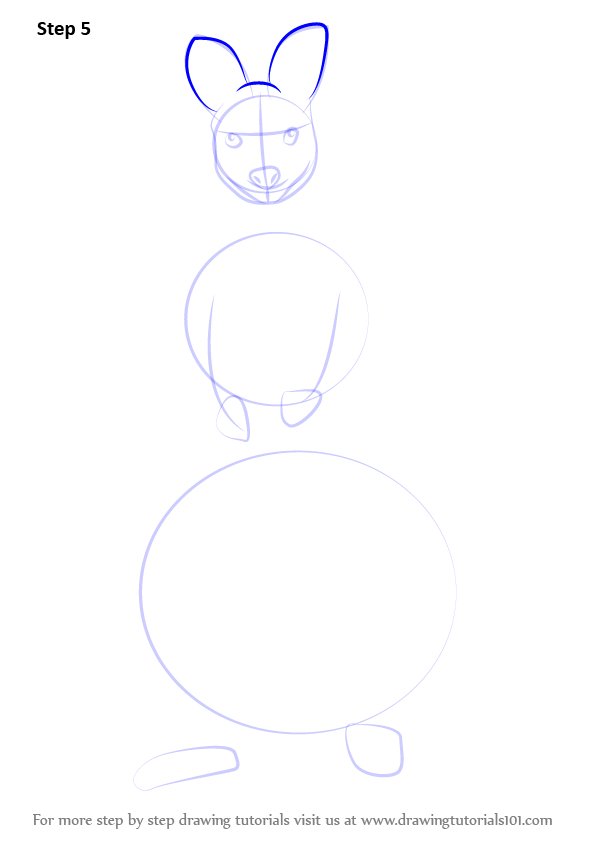 How to Draw a Wallaby (Kangaroos) Step by Step | DrawingTutorials101.com