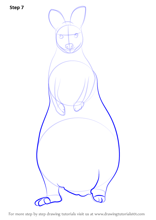 How to Draw a Wallaby (Kangaroos) Step by Step | DrawingTutorials101.com