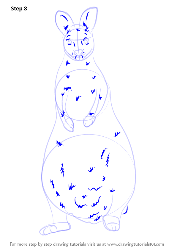 How to Draw a Wallaby (Kangaroos) Step by Step | DrawingTutorials101.com