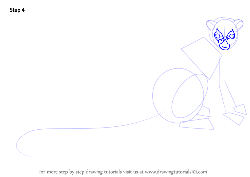 How to Draw a Ring-Tailed Lemur (Lemurs) Step by Step ...