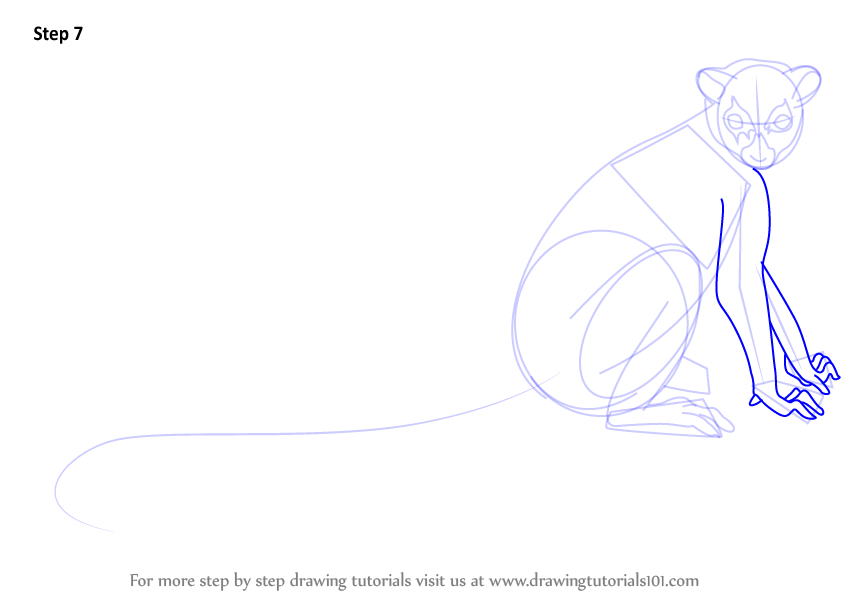 How to Draw a Ring-Tailed Lemur (Lemurs) Step by Step ...