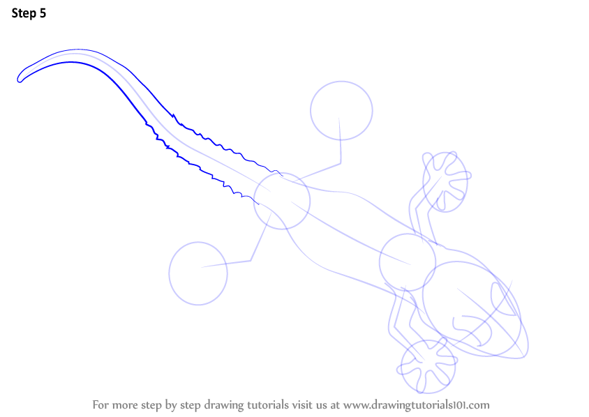 How to Draw a Gecko (Lizards) Step by Step | DrawingTutorials101.com