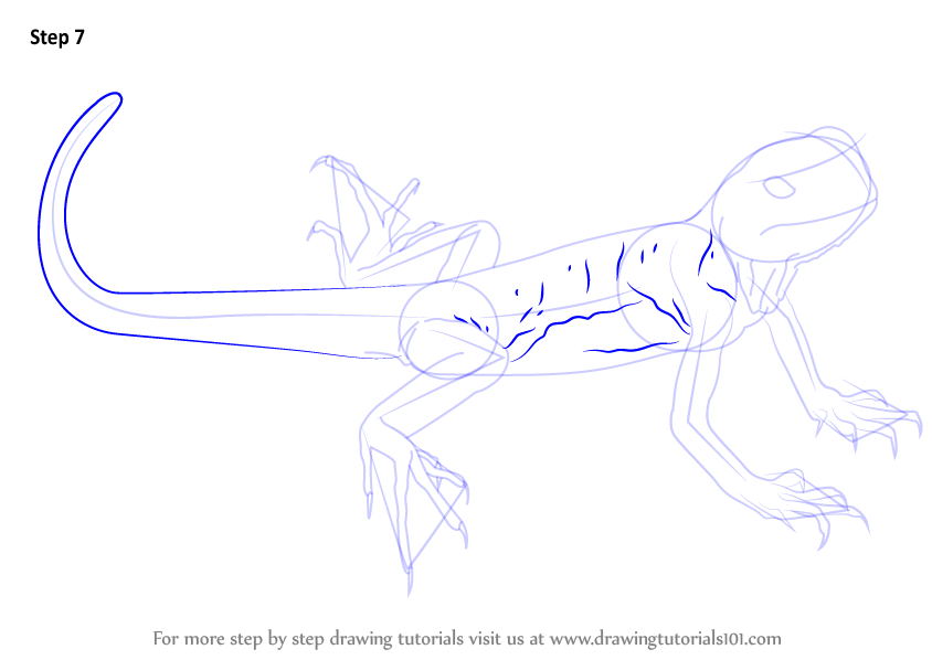 How to Draw a Green Lizard (Lizards) Step by Step | DrawingTutorials101.com